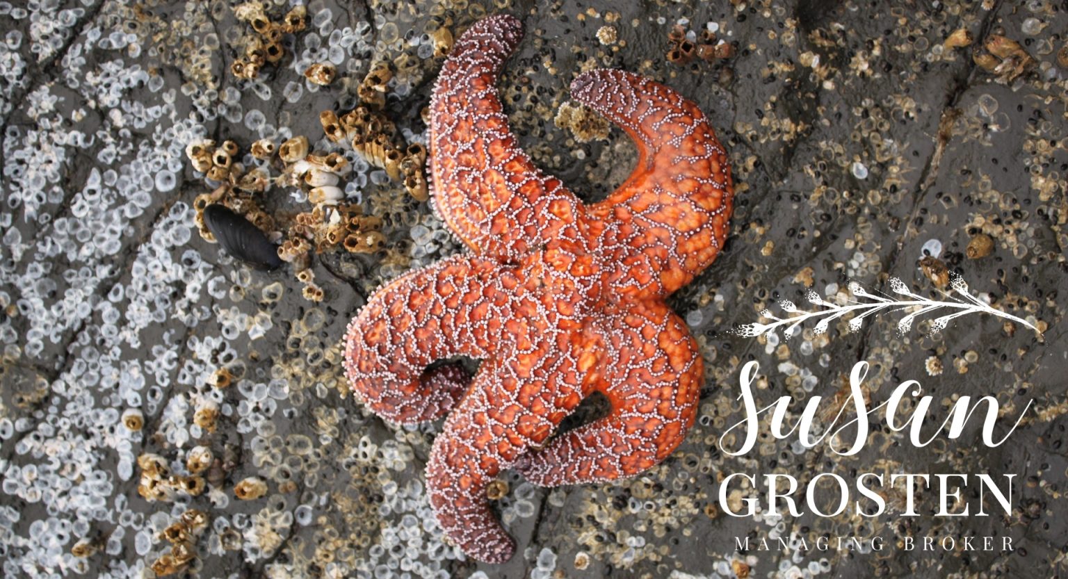 Blakely Rock Bainbridge Island | Bainbridge Island Adventures